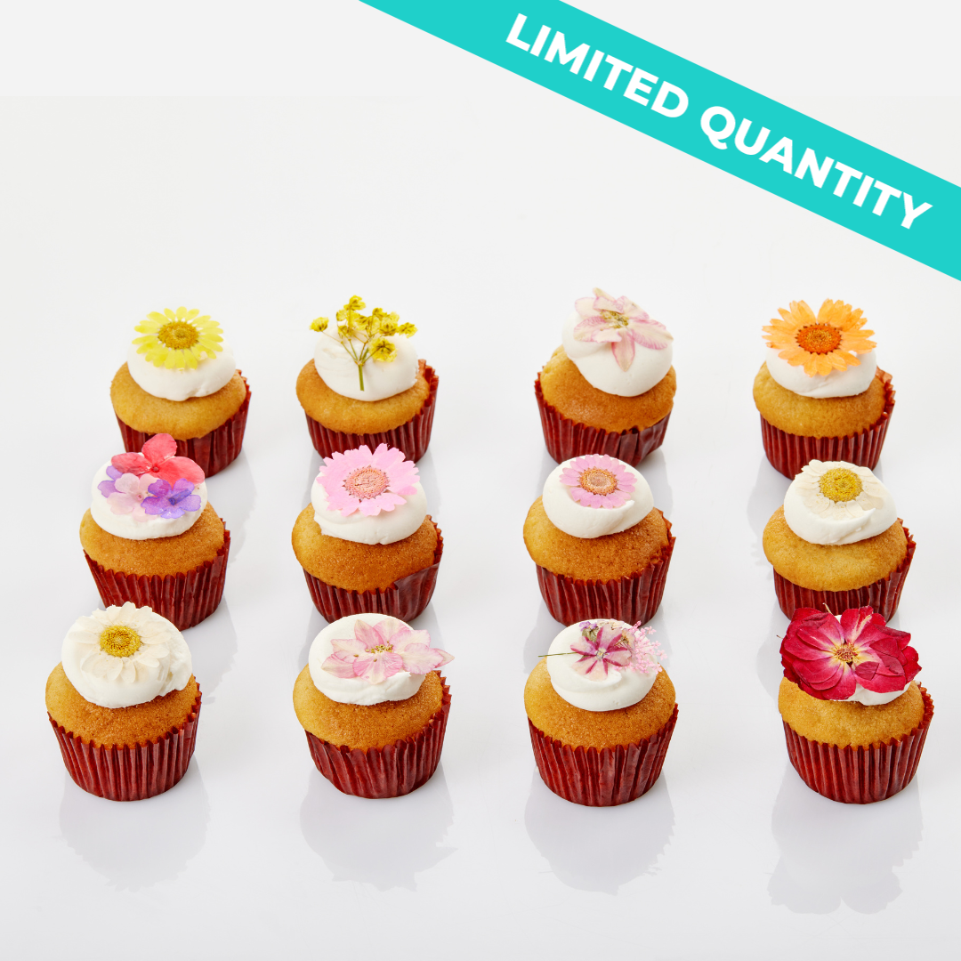 Bunnie Garden Vegan Mini-Cupcakes Assortment – Bunnie Cakes Miami